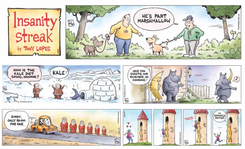 Insanity Streak wins Best Comic Strip award - Bullsgroup.com